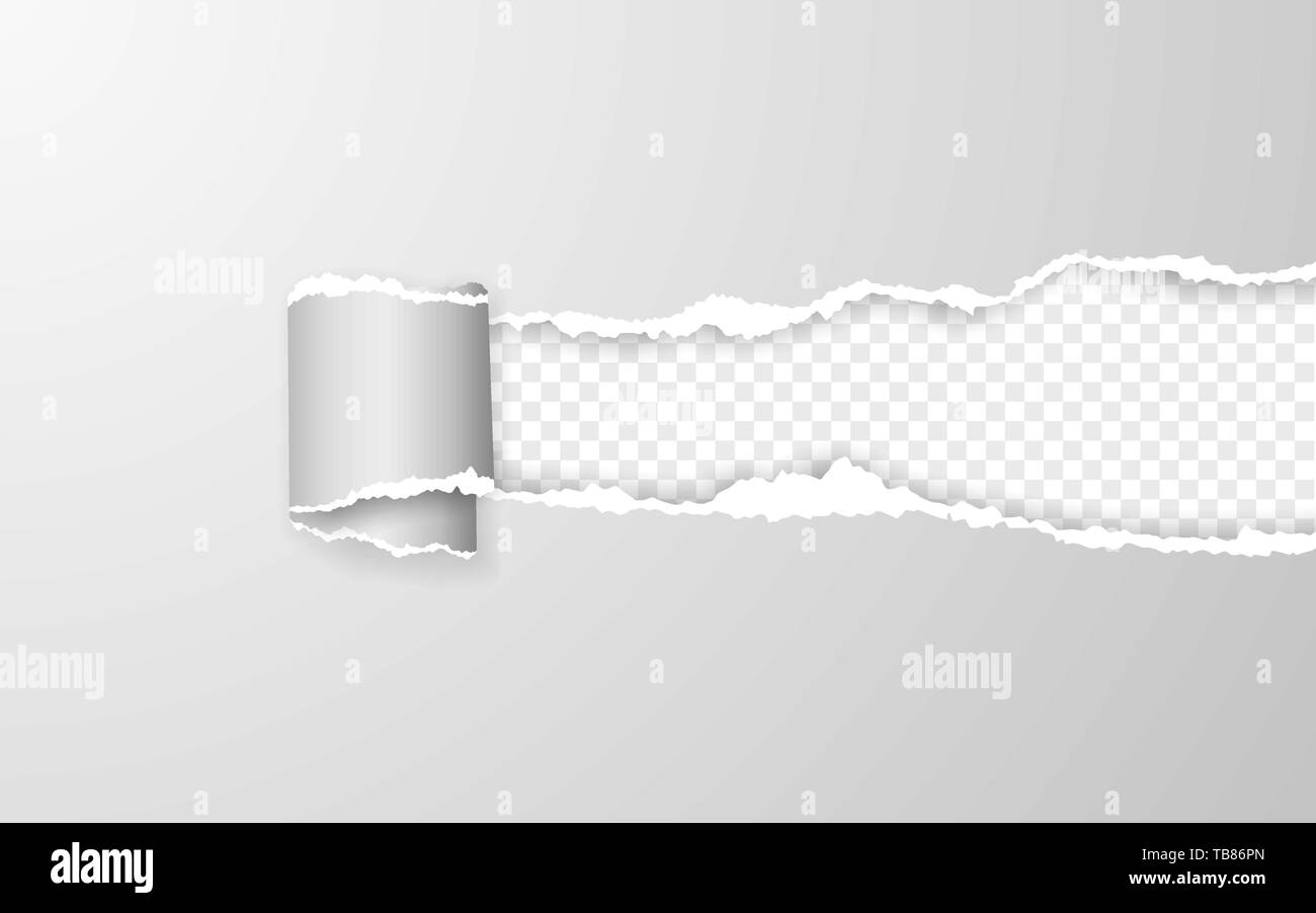 Realistic torn and twisted paper strip. Torn paper edge. Vector ...