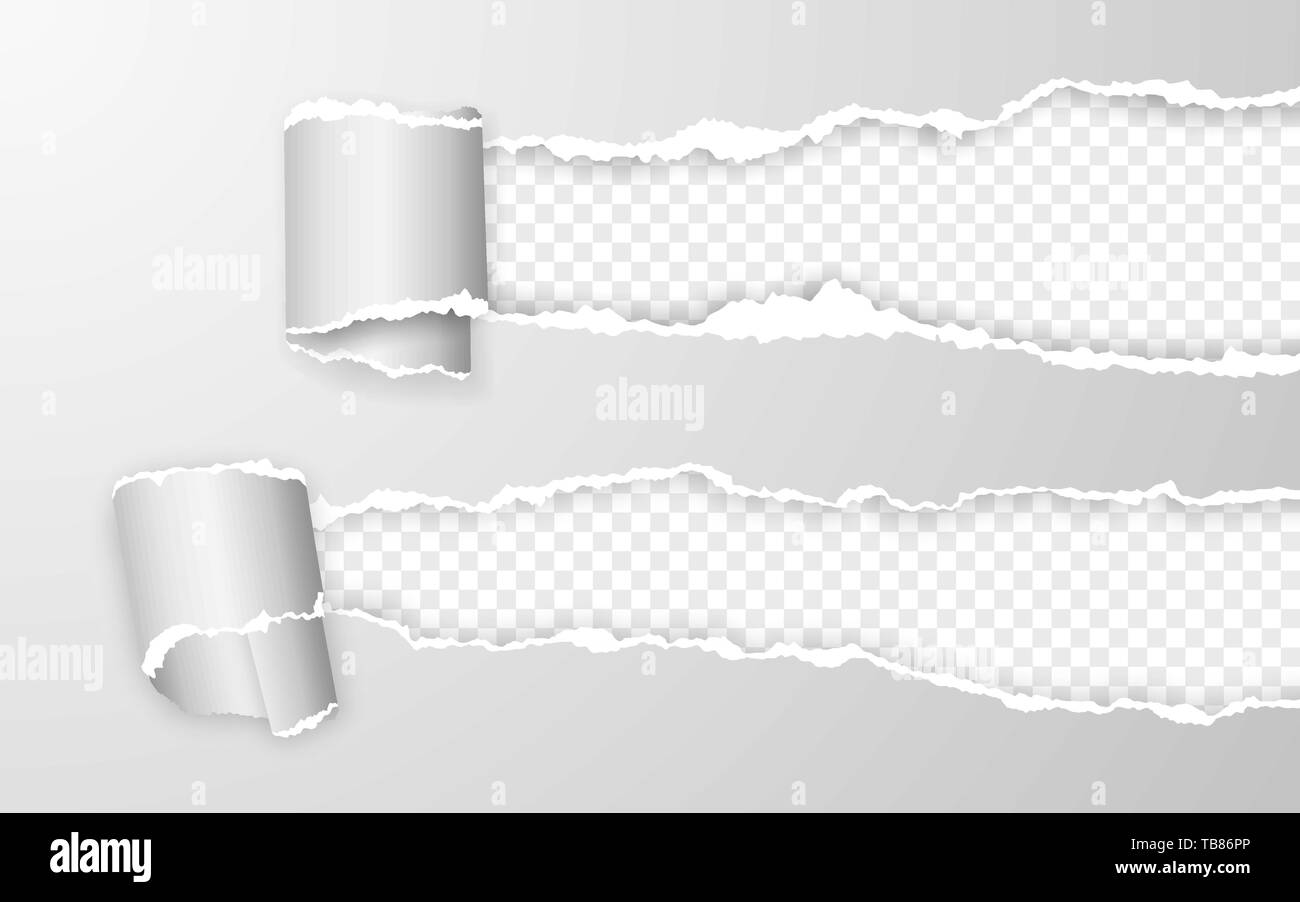 Realistic torn and twisted paper strip. Torn paper edge. Vector ...