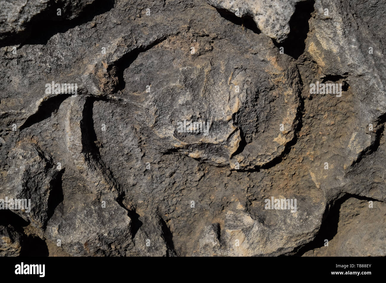 The element of the gate of Hadrian on the ground near the gate. Ruins ...