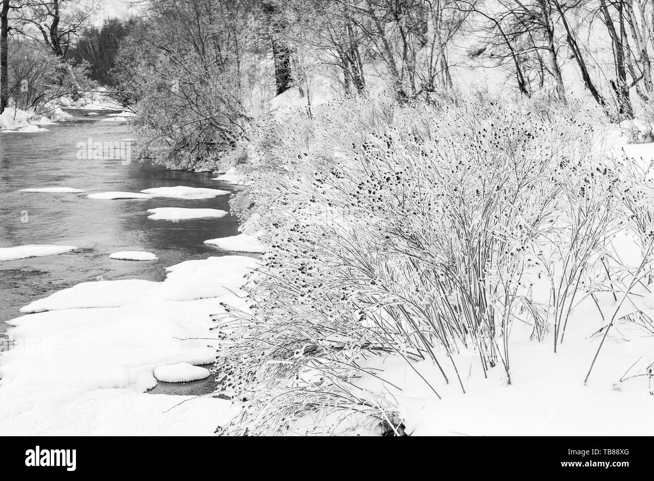 winter river in the bitter cold in Kamchatka Stock Photo - Alamy
