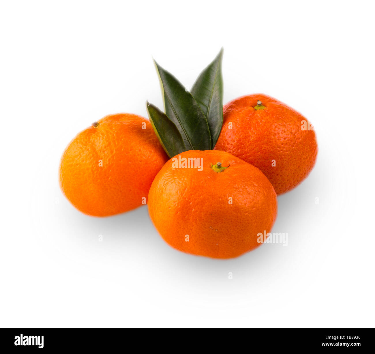 Three Ripe mandarines with leaves close-up on a white background ...
