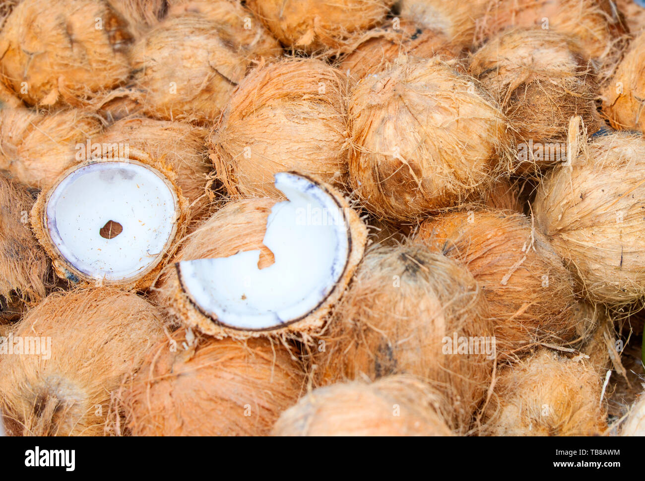 pile of coconuts on the counter Stock Photo - Alamy