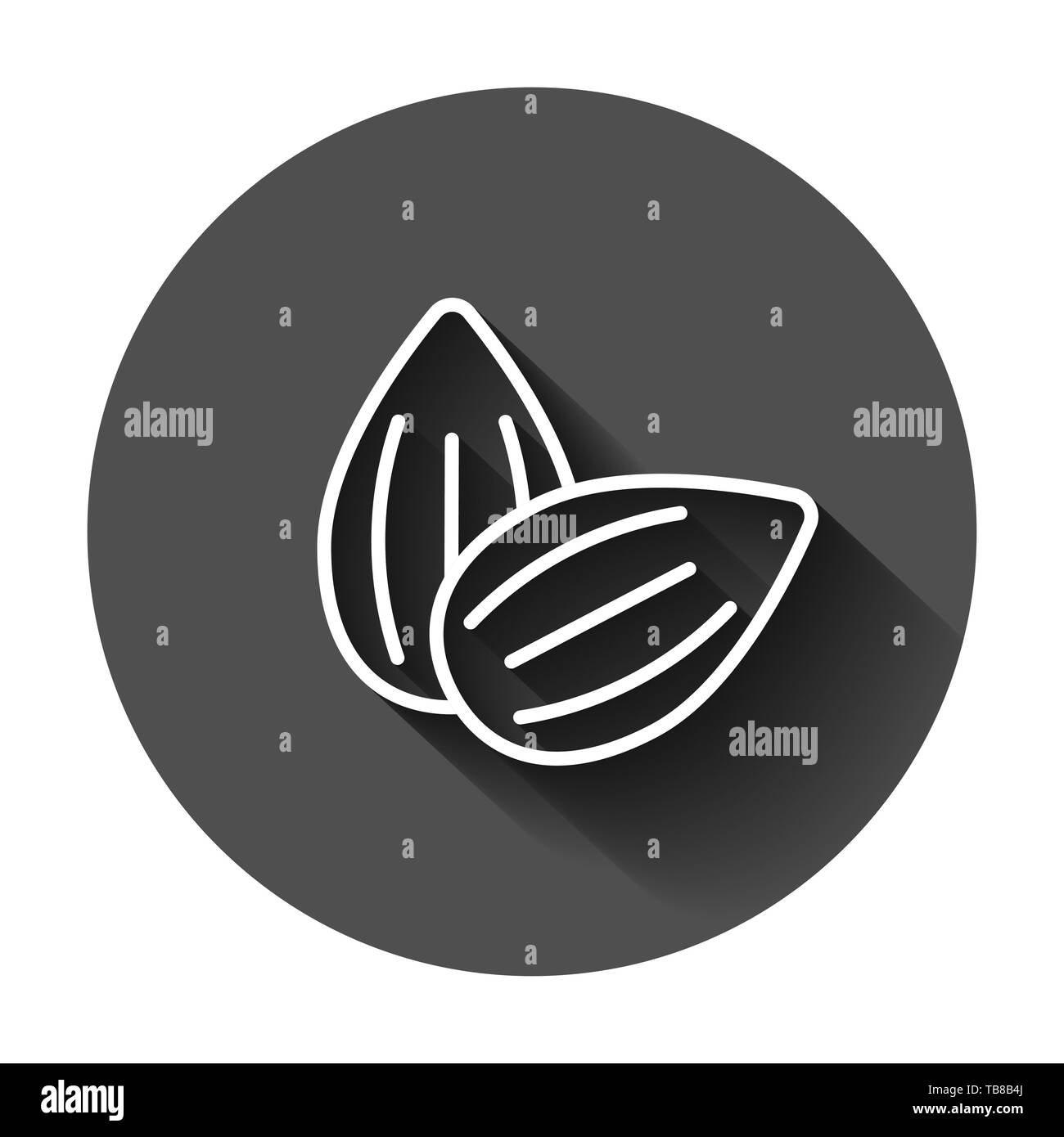 Almond round white background Stock Vector Images - Alamy