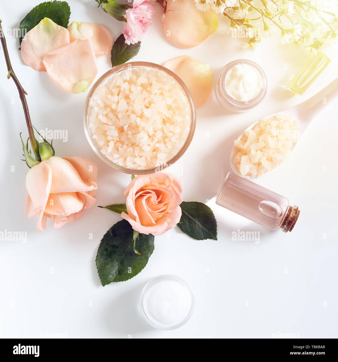 natural skin care concept. flat lay of skincare remedies style in ...