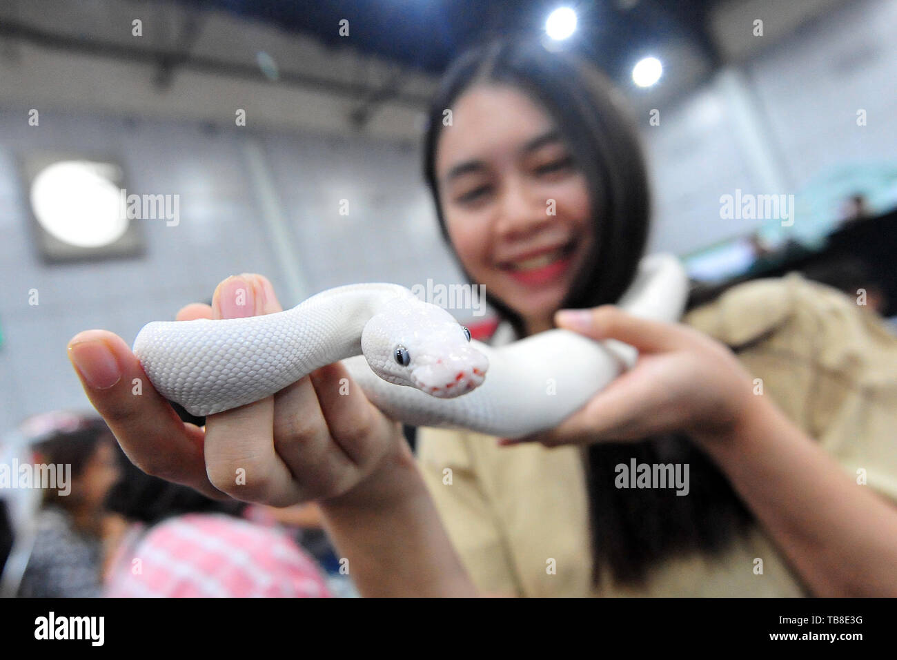 Bangkok, Thailand. 30th May, 2019. A woman holds a ball python during ...