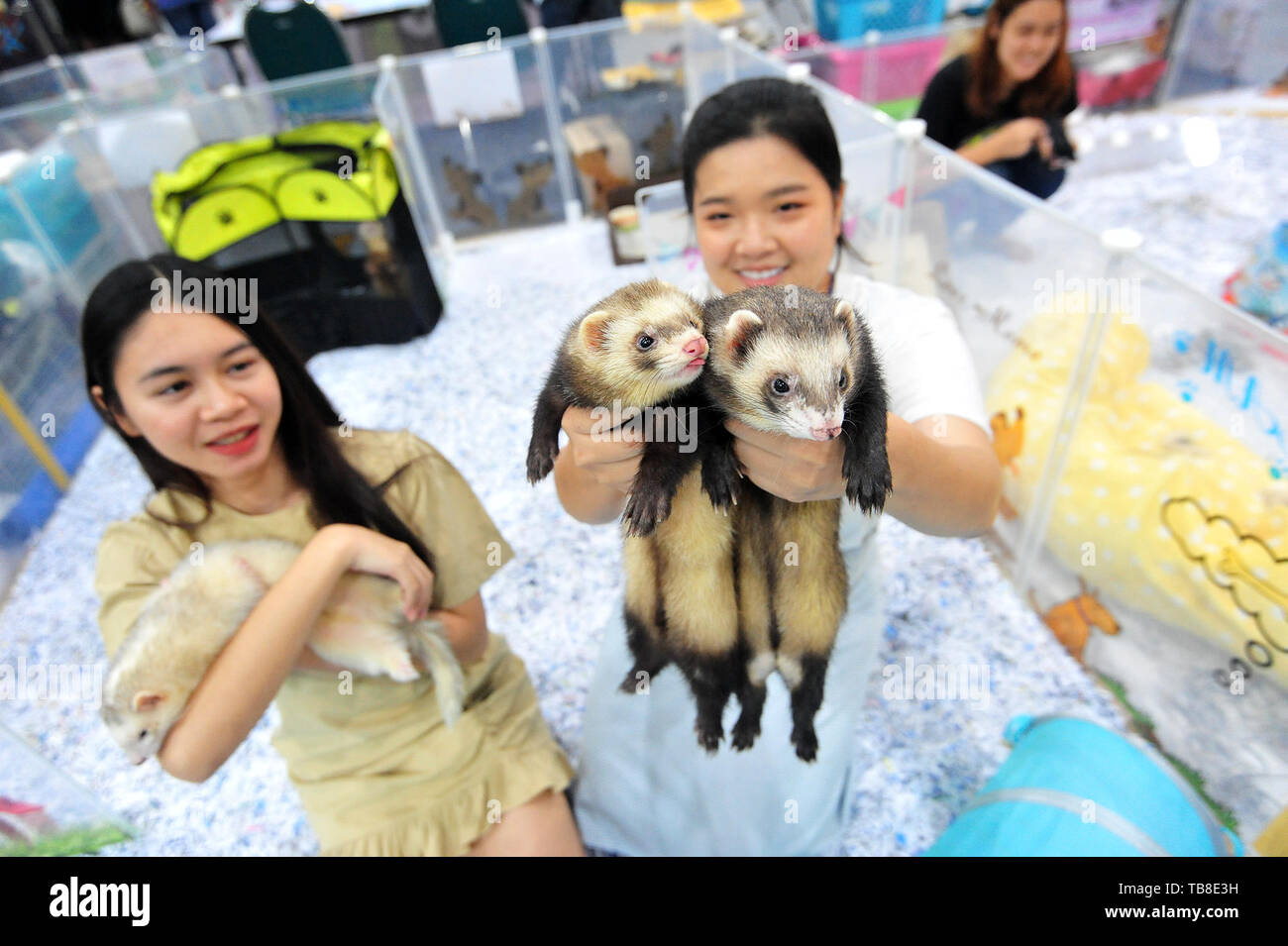 Exo Chanyeol Pre Debut Ferret