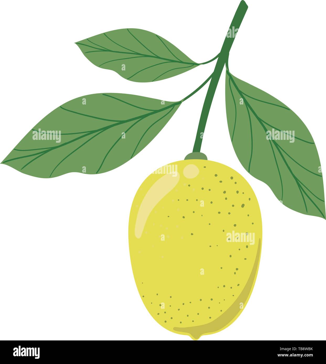 lemon with leaves isolated icon Stock Vector Image & Art - Alamy