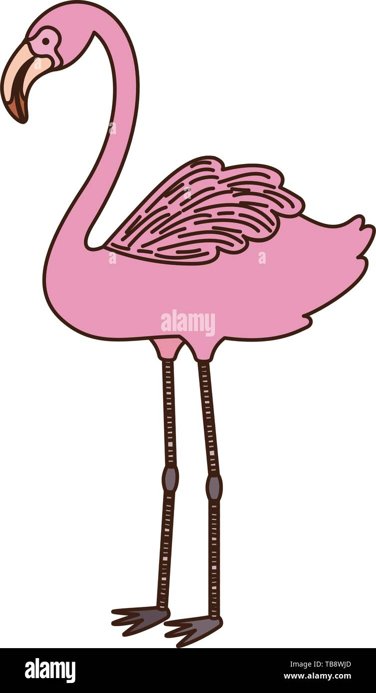 pink flemish in white background Stock Vector Image & Art - Alamy