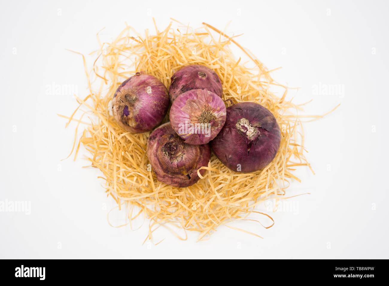 onion on the nest with isolated white background Stock Photo - Alamy