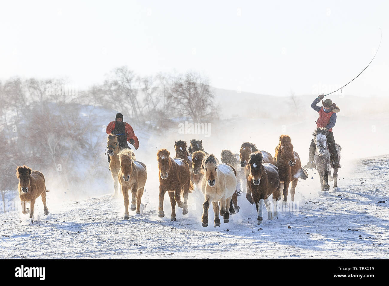 Photographed on winter dam Stock Photo - Alamy