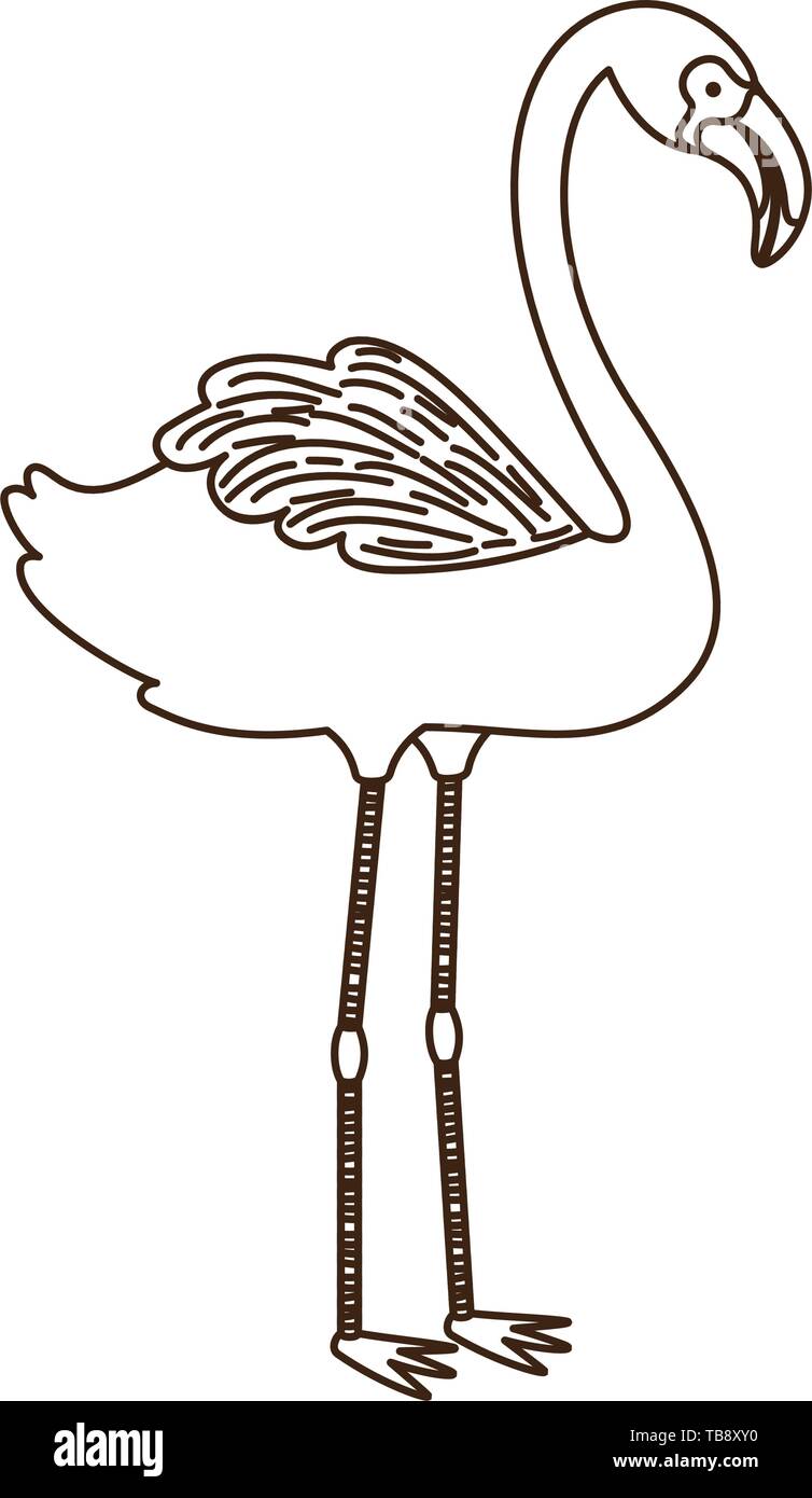 pink flemish in white background Stock Vector Image & Art - Alamy