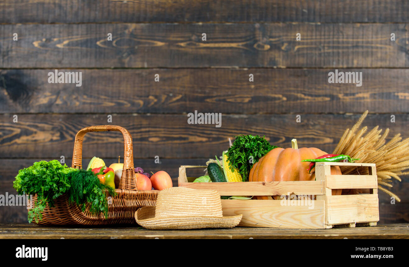 Autumn harvest crops vegetables. Locally grown natural food. Farmers ...