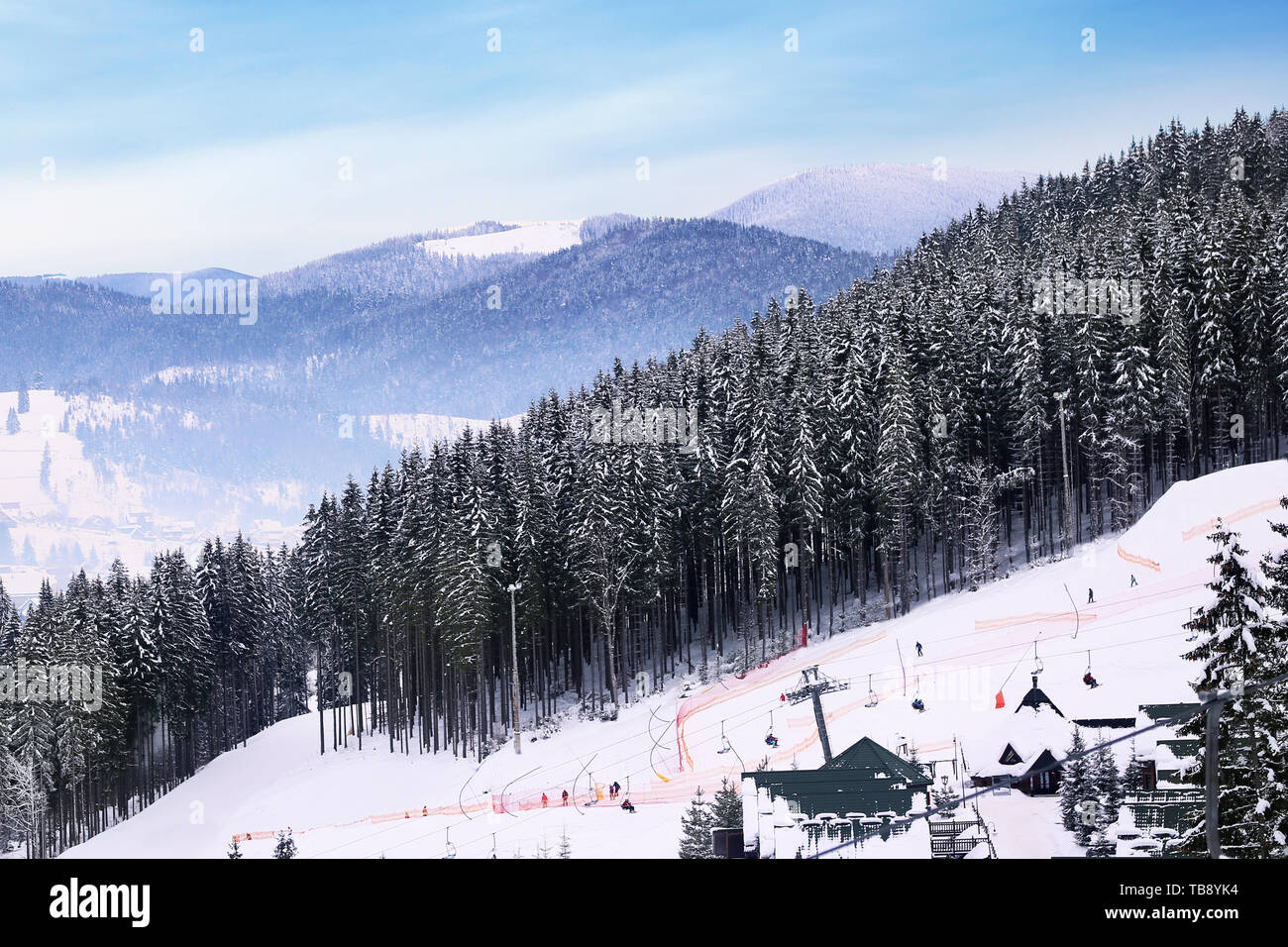 Coniferous forest at mountain resort on winter day Stock Photo - Alamy