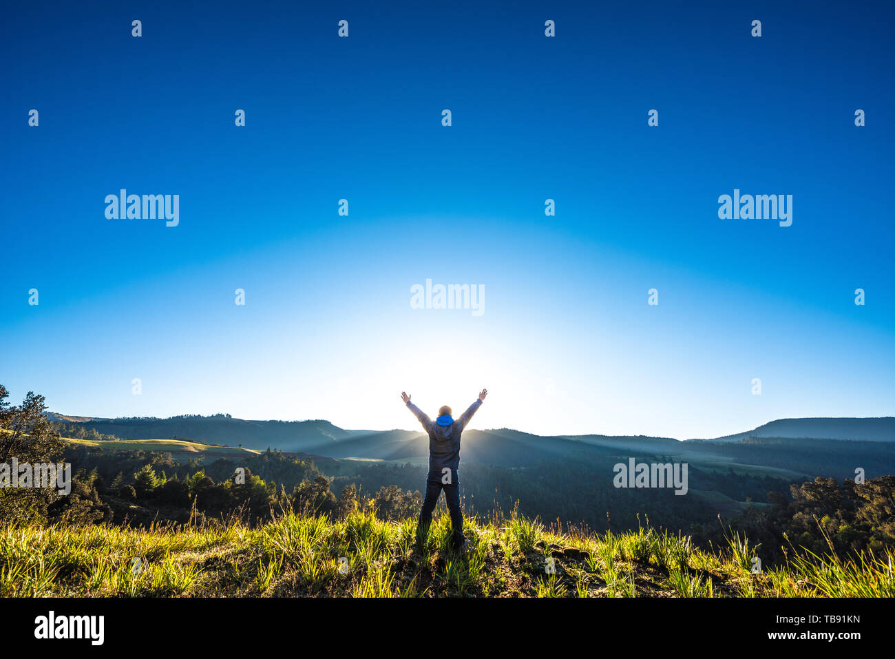 Embrace nature hi-res stock photography and images - Alamy