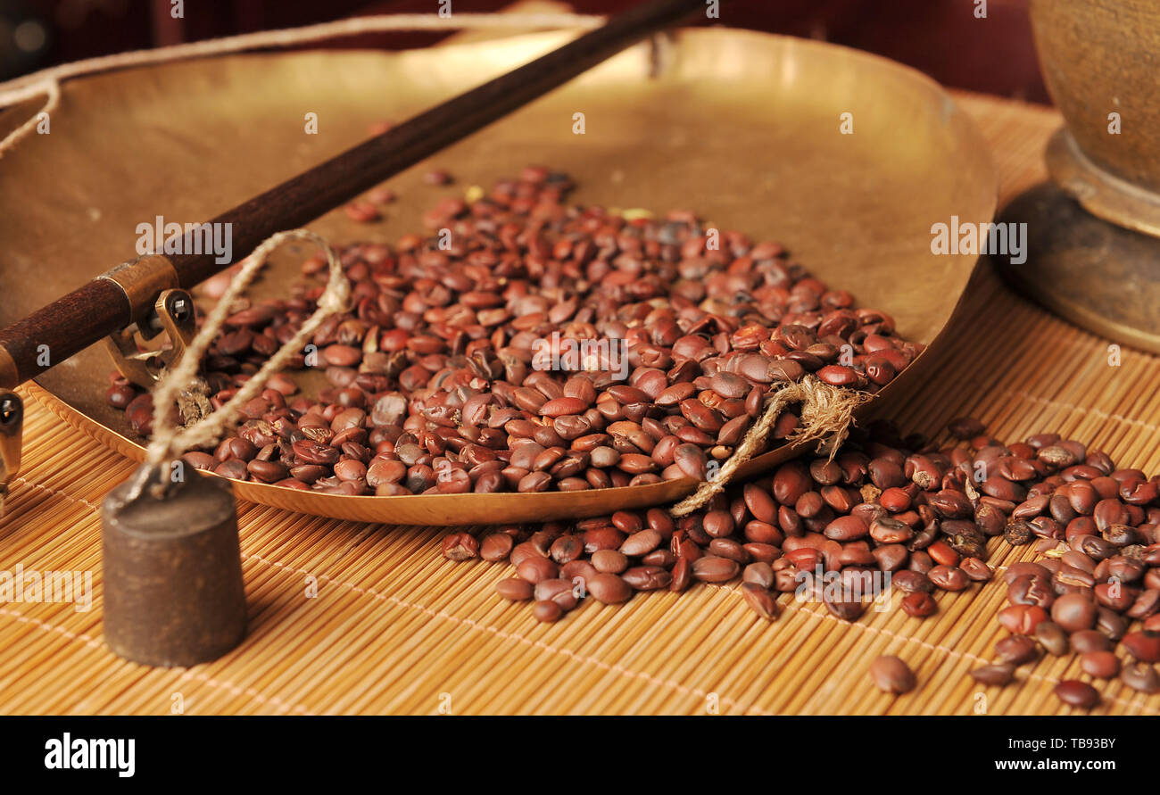 Chinese medicine jujube kernel Stock Photo - Alamy