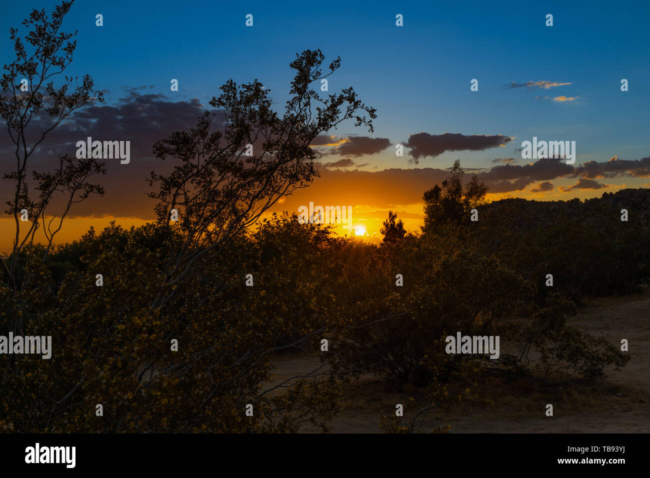 Sunet in the Mojave Deset Stock Photo - Alamy