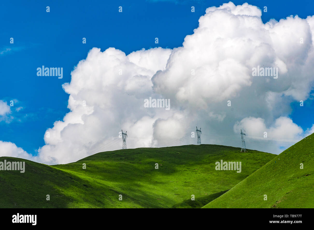 The transmission tower on the green prairie Stock Photo - Alamy