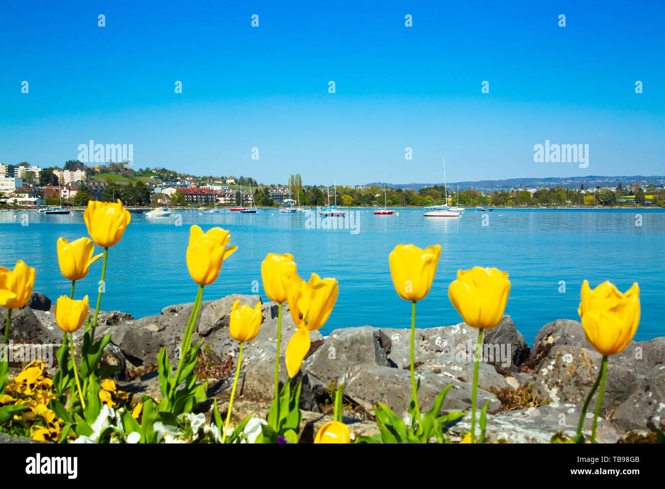 Lausanne lake geneva hi-res stock photography and images - Alamy