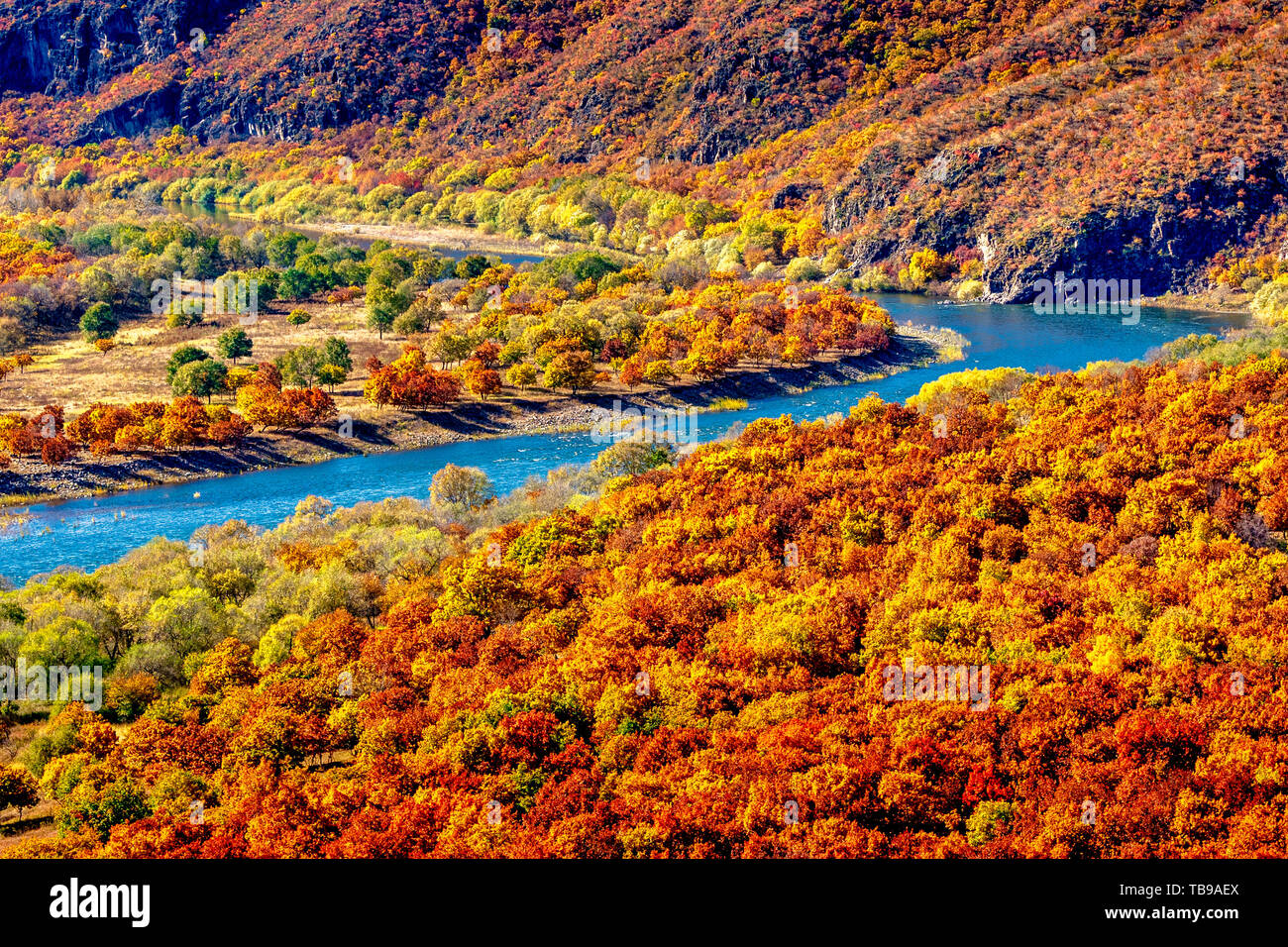 Ergun argun river hi-res stock photography and images - Alamy