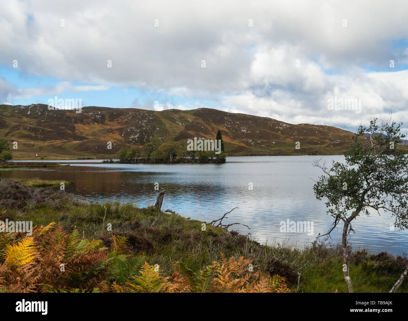 View of autumnal Loch Tarff in the Scottish Highlands in the area of ...