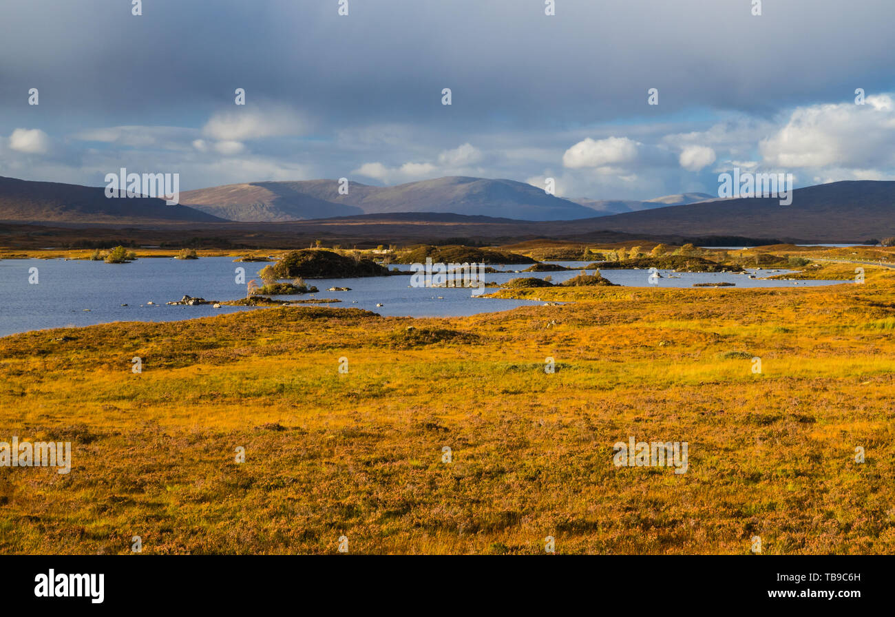 Scottish moor hi-res stock photography and images - Alamy
