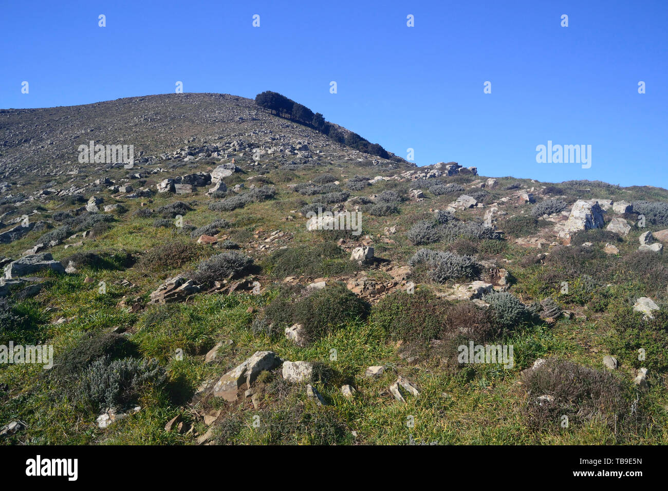 Santu hi-res stock photography and images - Alamy