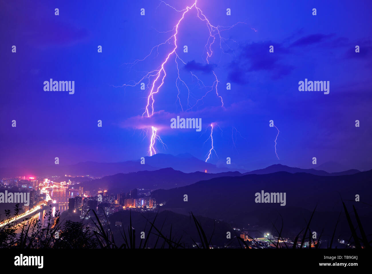 Lightning - Flowers of Nature Stock Photo - Alamy