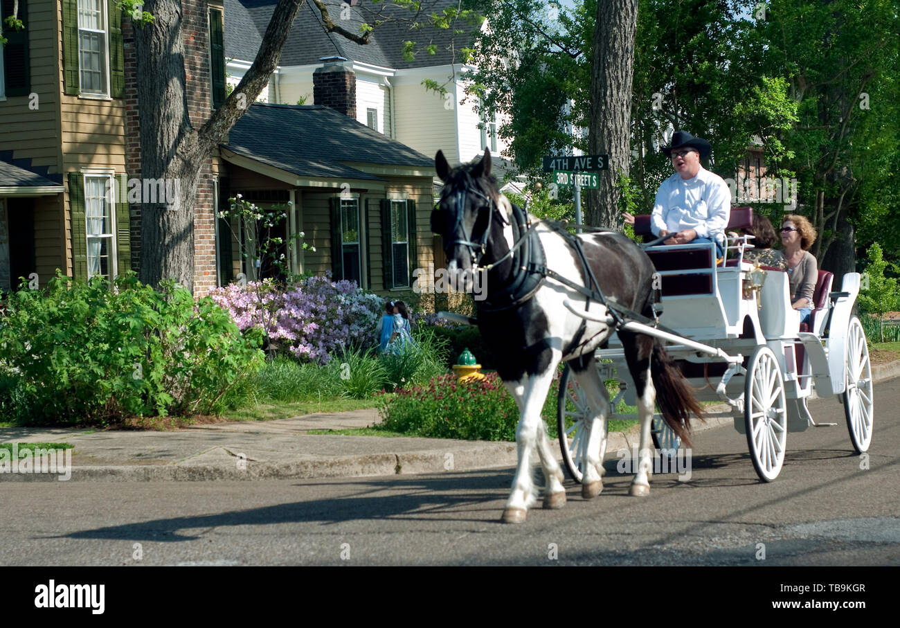 Columbus carriage hi-res stock photography and images - Alamy