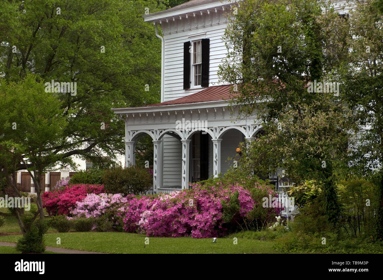 Azaleas bloom in front of the Amzi Love Home in Columbus, Mississippi ...