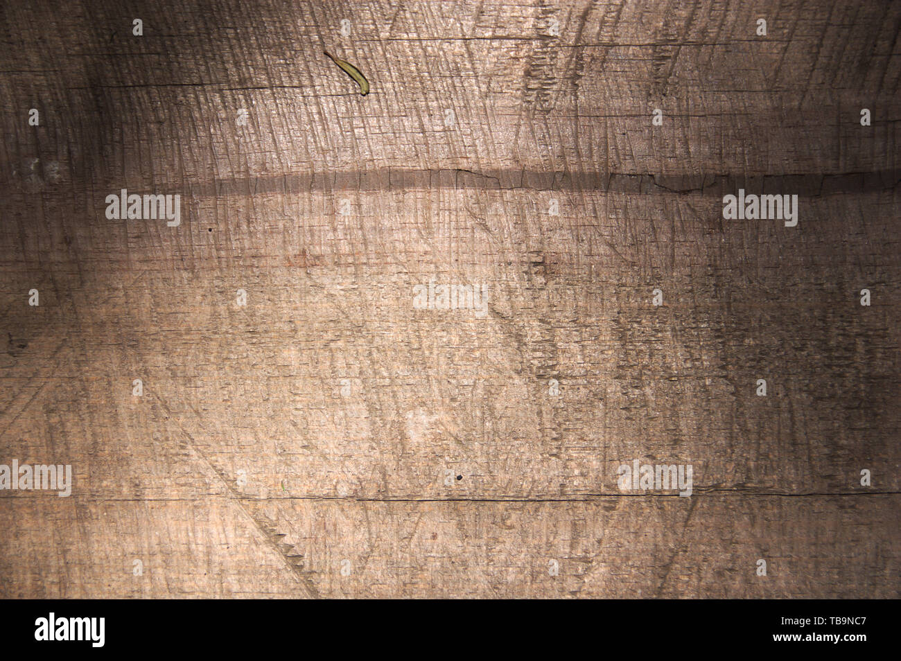 Image with a texture of a tree bark that traces horizontal lines on ...