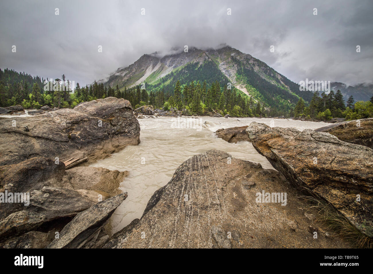 Alpine forests, river currents, boulders Stock Photo - Alamy