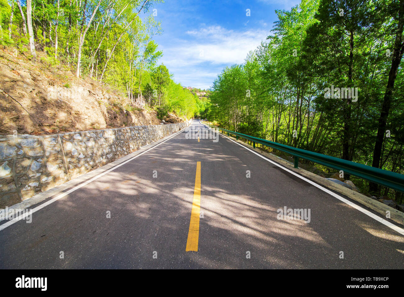 Rural roads in spring Stock Photo - Alamy