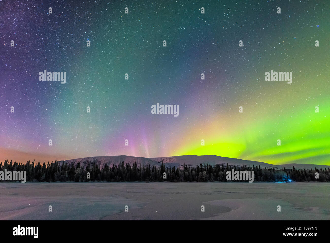 Strong aurora hi-res stock photography and images - Alamy