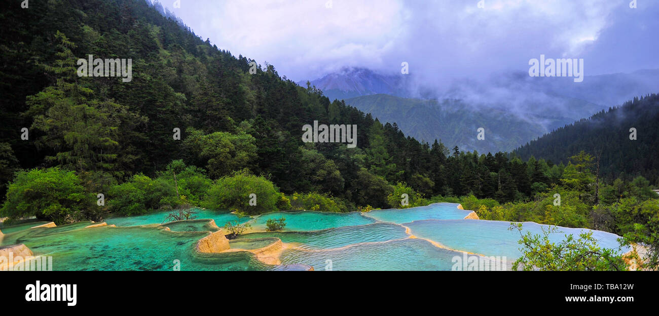 Daylight daylight scenery scenery and outdoor trees unmanned trees ...