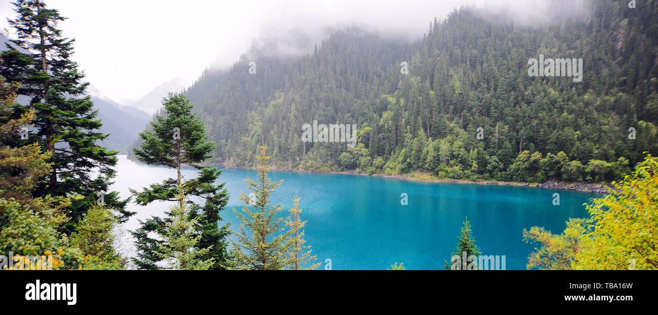 Daylight daylight scenery scenery and outdoor trees unmanned trees ...