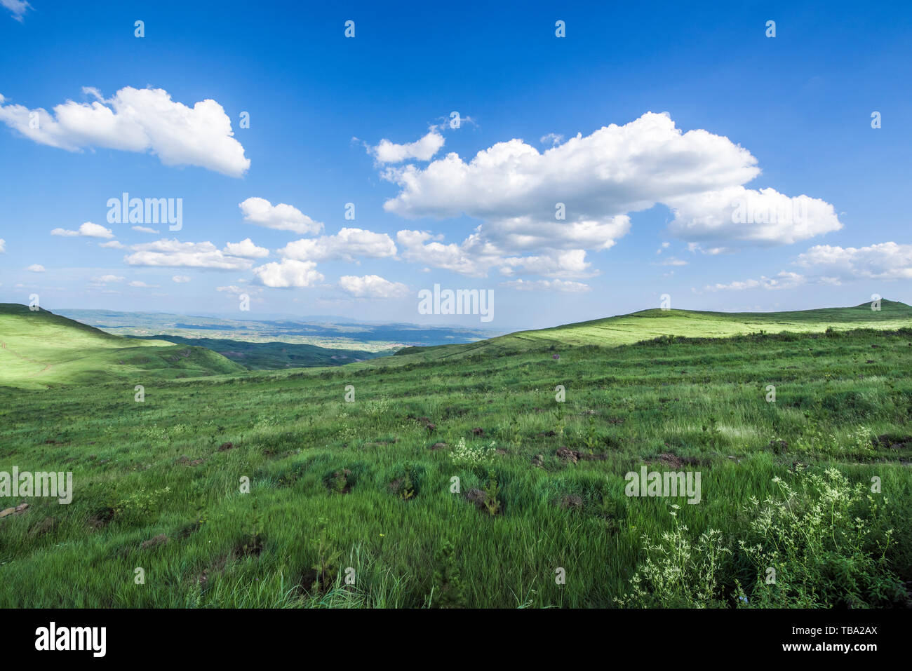 Landscape of Zhangbei Prairie Stock Photo - Alamy