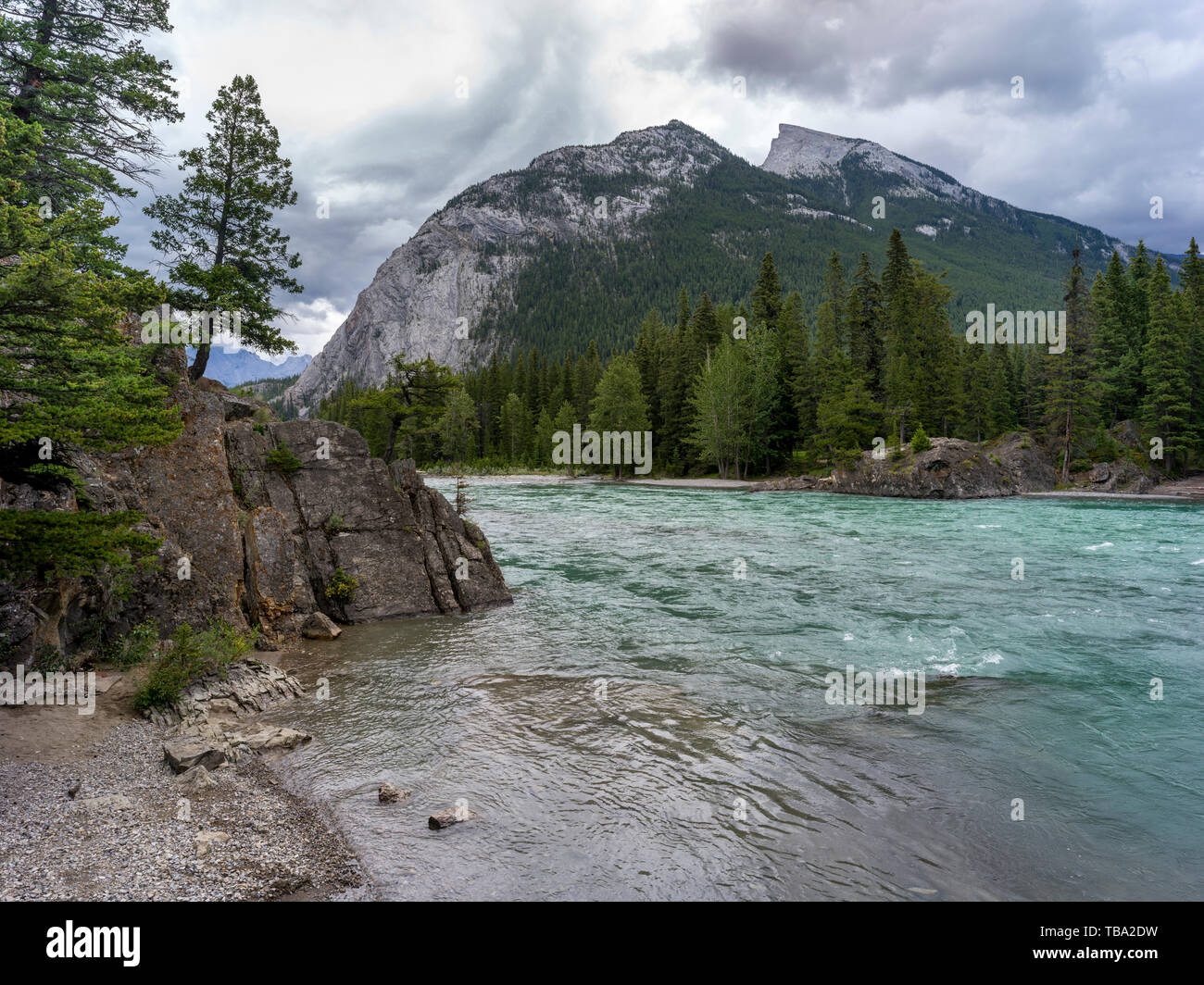 River flowing through forest, Canada Stock Photo - Alamy