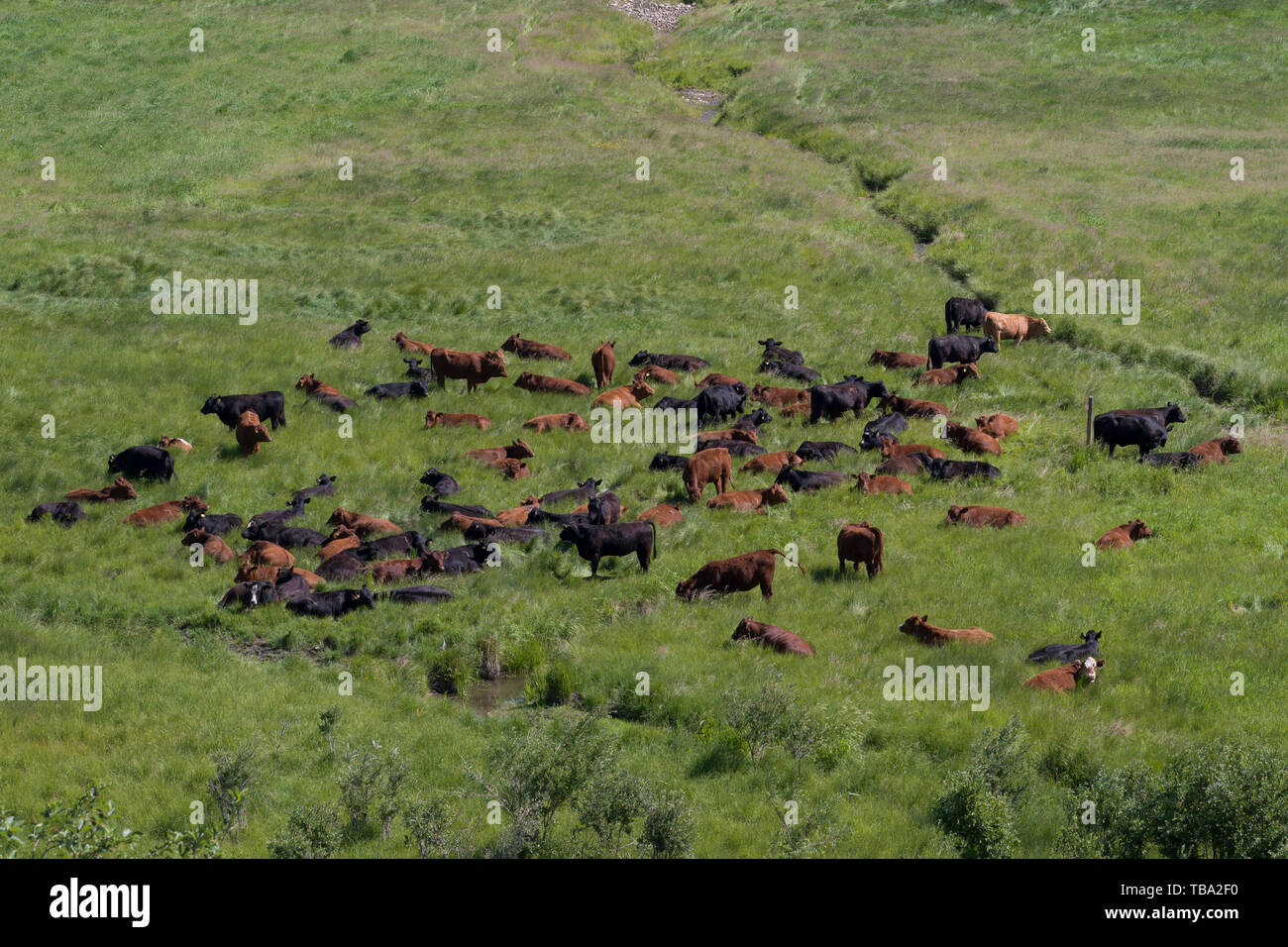 Alberta highway canada 22 hi-res stock photography and images - Alamy