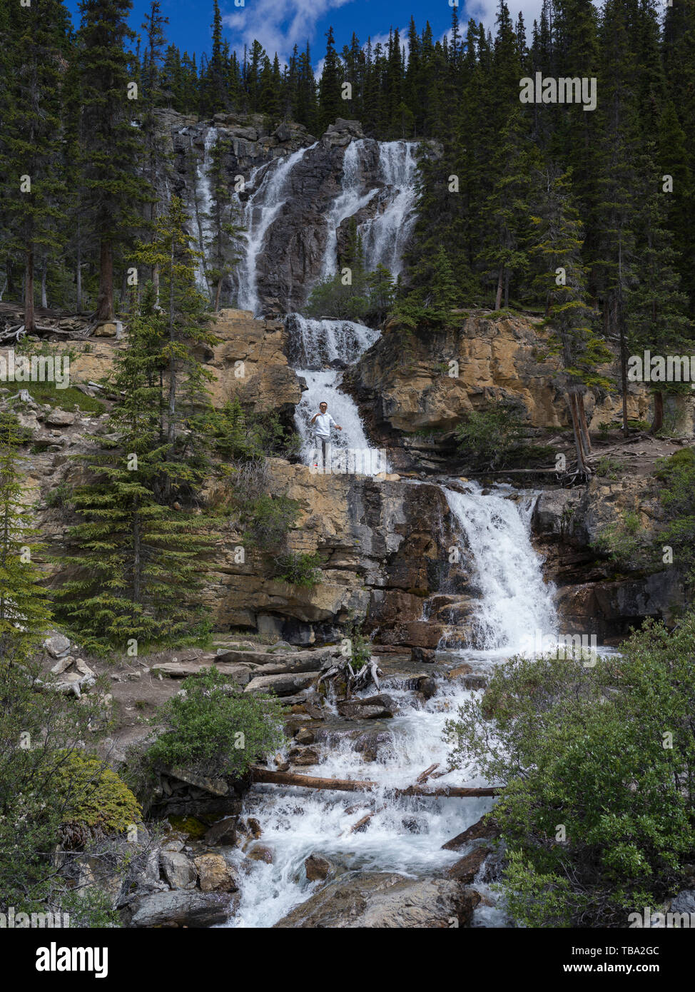 Tangle Creek Falls In Jasper National Park High Resolution Stock ...
