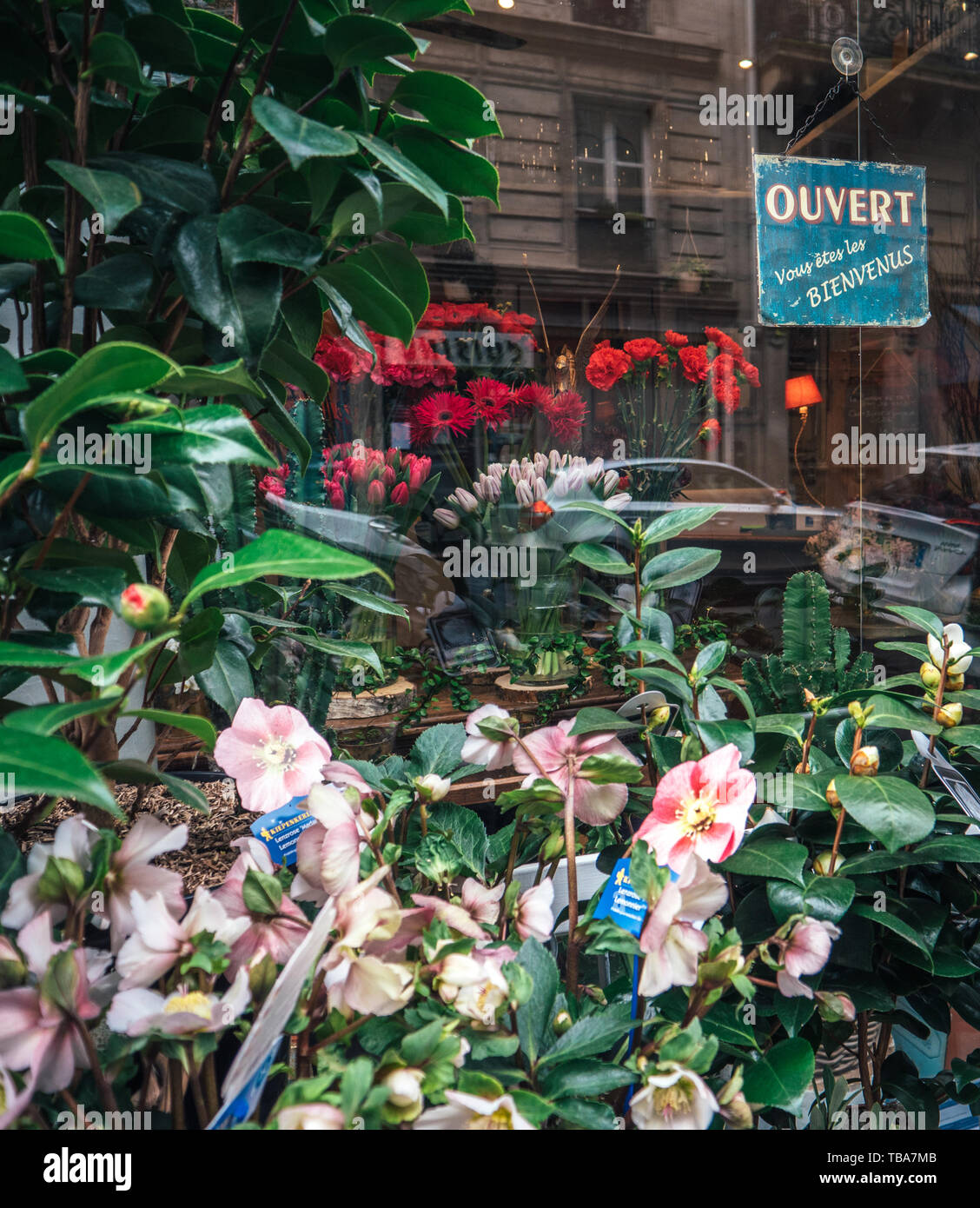 Paris flower store front hi-res stock photography and images - Alamy