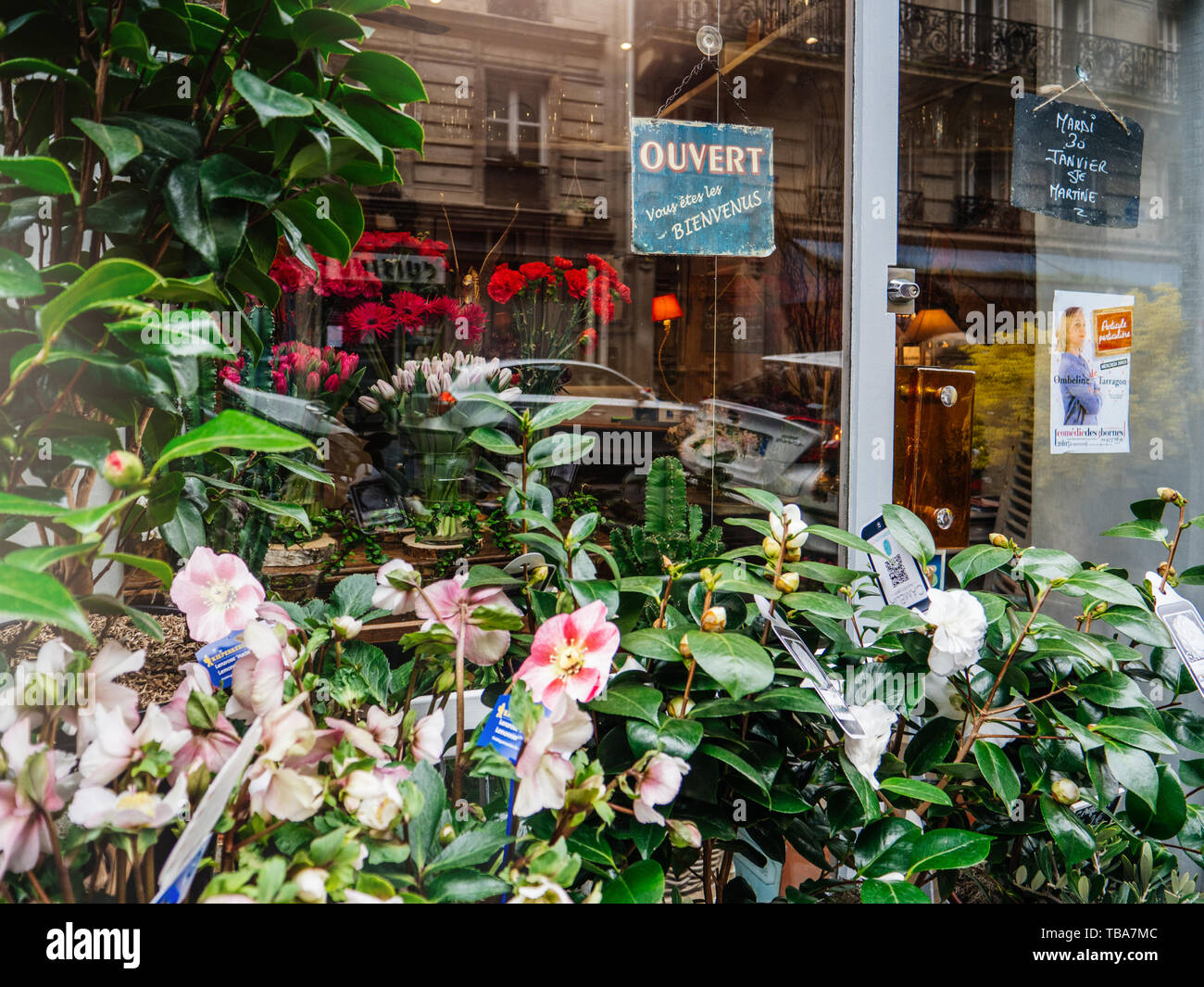 French shop front florist hi-res stock photography and images - Alamy