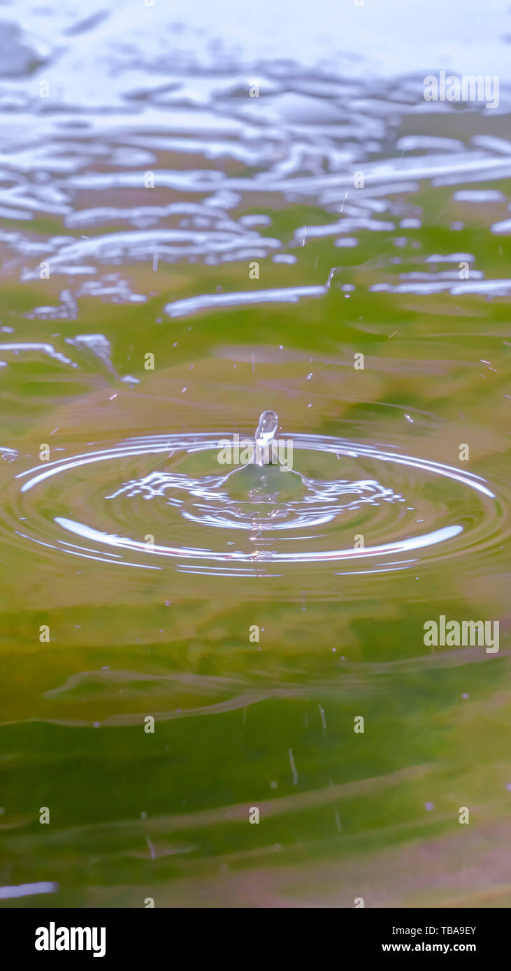 frame Vertical Stone dropped in water creating a splash and ripple on ...