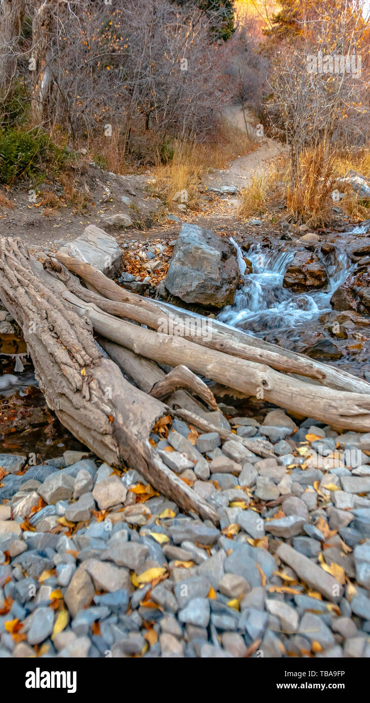 Tree trunk bridge over creek hi-res stock photography and images - Alamy