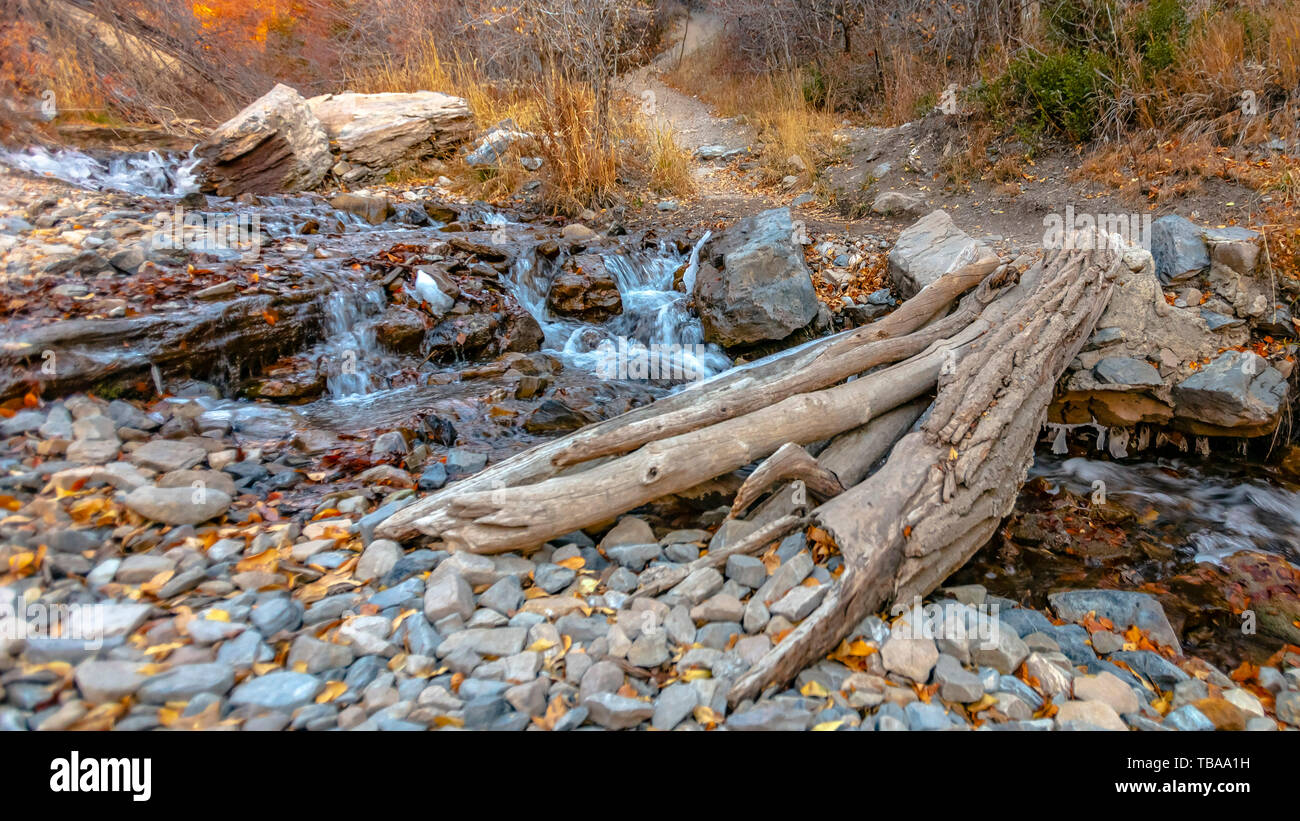 Tree trunk bridge over creek hi-res stock photography and images - Alamy