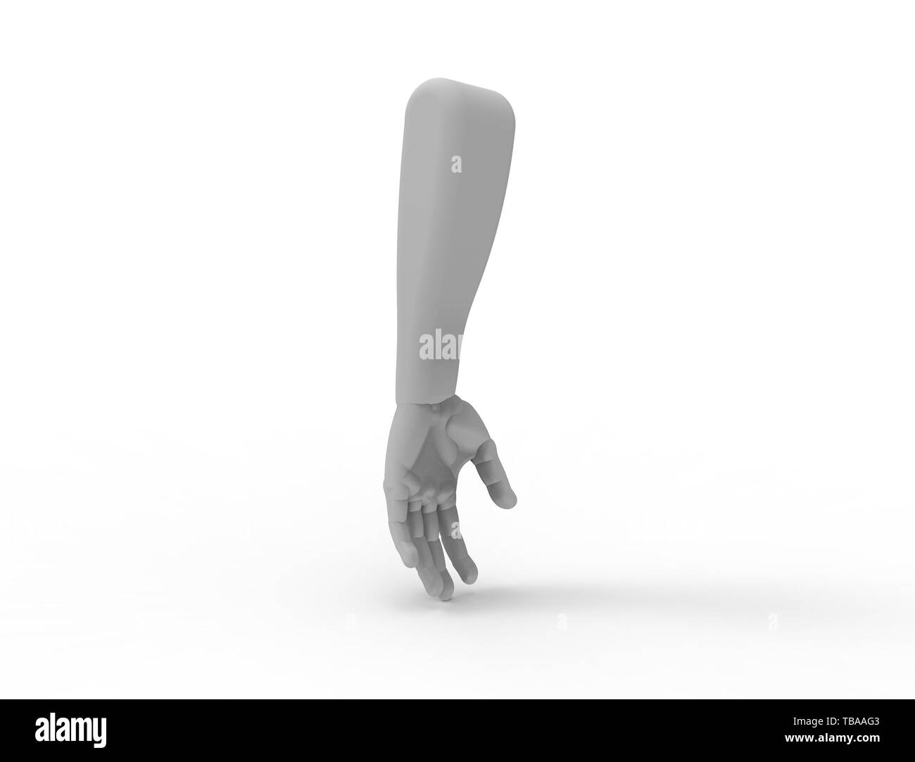 3D rendering of a forearm isolated on white background Stock Photo - Alamy