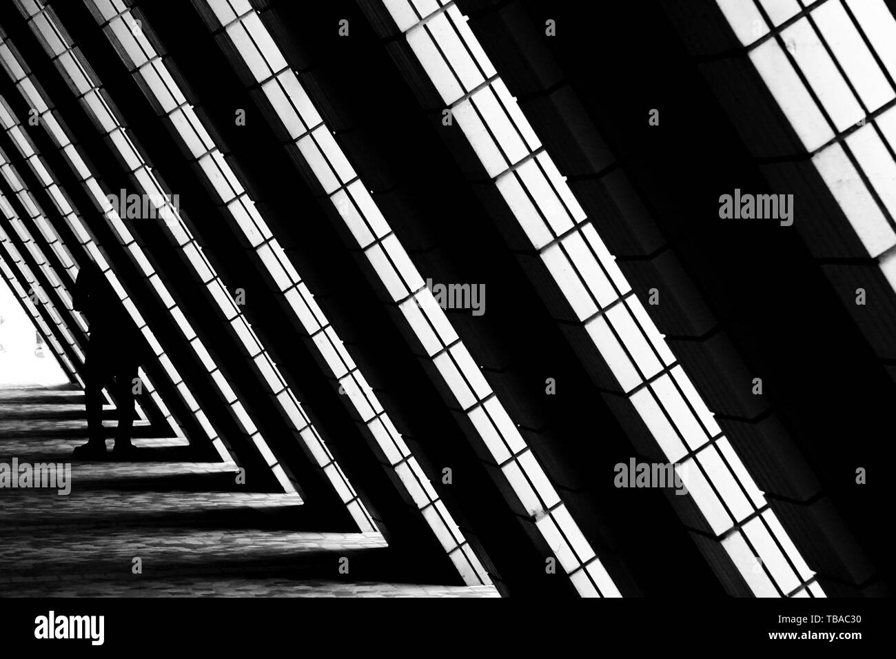 Hide building Black and White Stock Photos & Images - Alamy