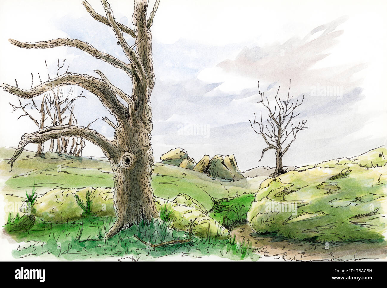 Landscape with tree. Loose sketch. Ink and watercolor on paper Stock ...