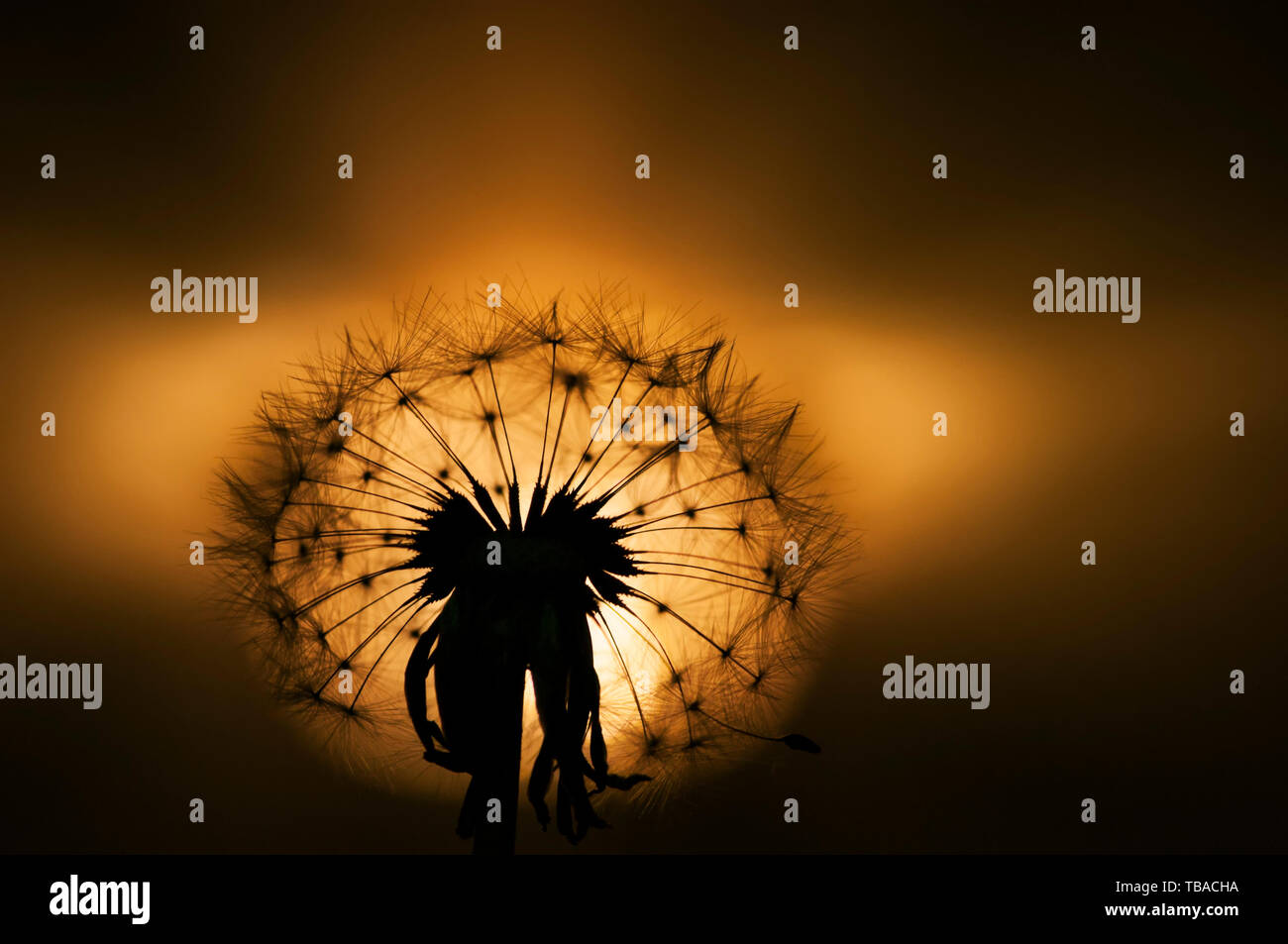 Creative photography hi-res stock photography and images - Alamy