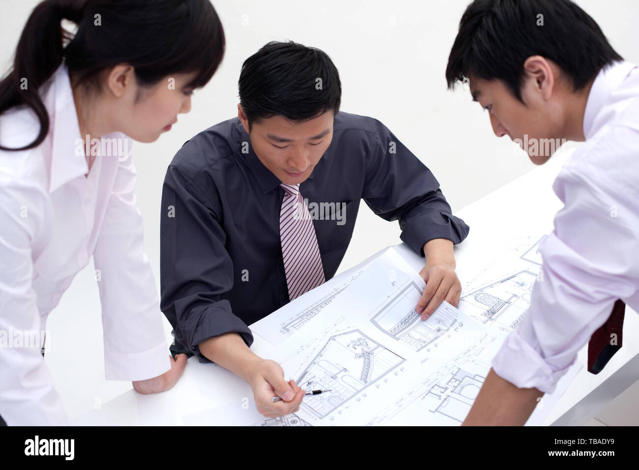 Business people analyzing drawings Stock Photo - Alamy