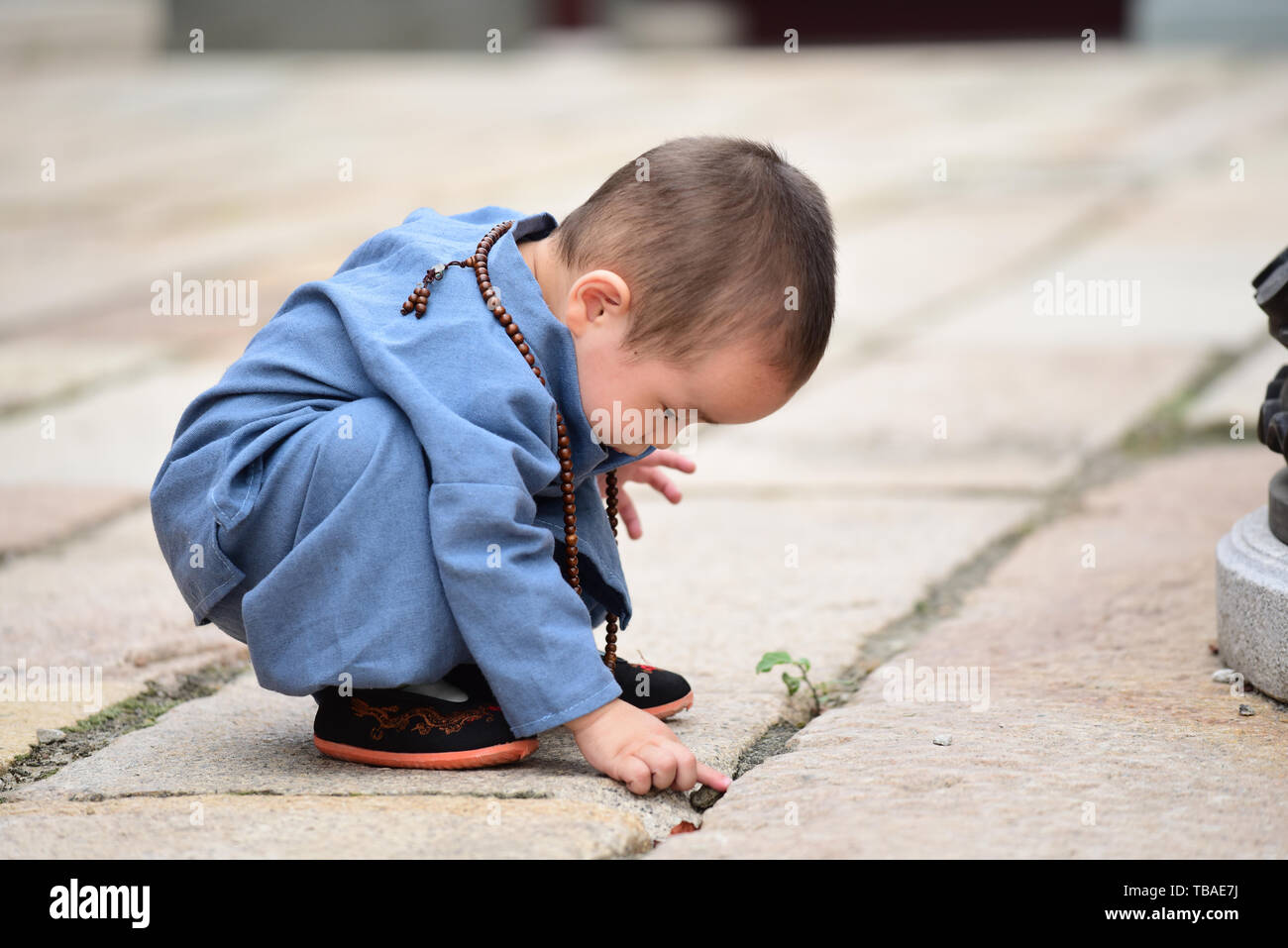 Cute little monk Stock Photo - Alamy